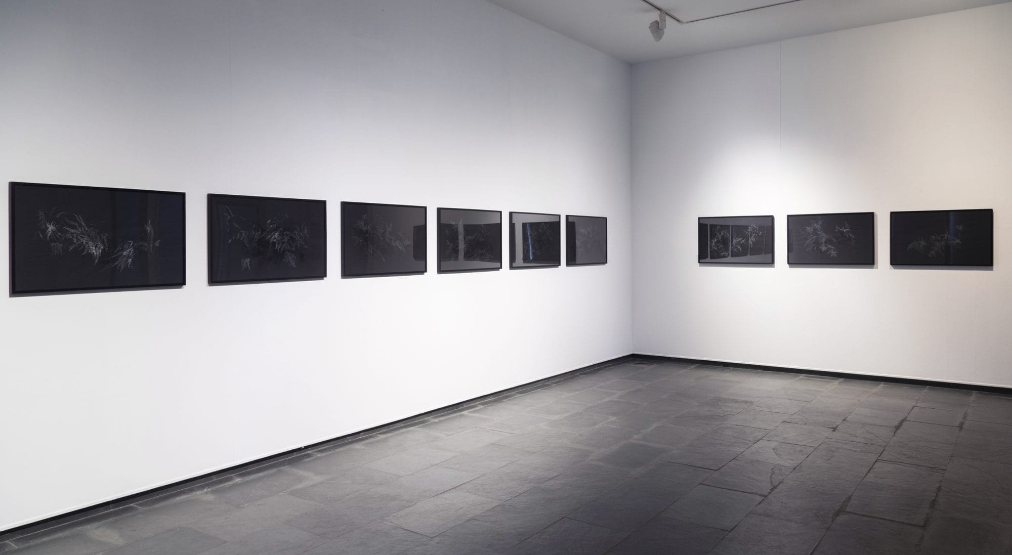 Gallery - Galería Isabel Hurley